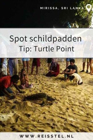 Beste Reisroute Sri Lanka In 2 Of 3 Weken | Rondreis